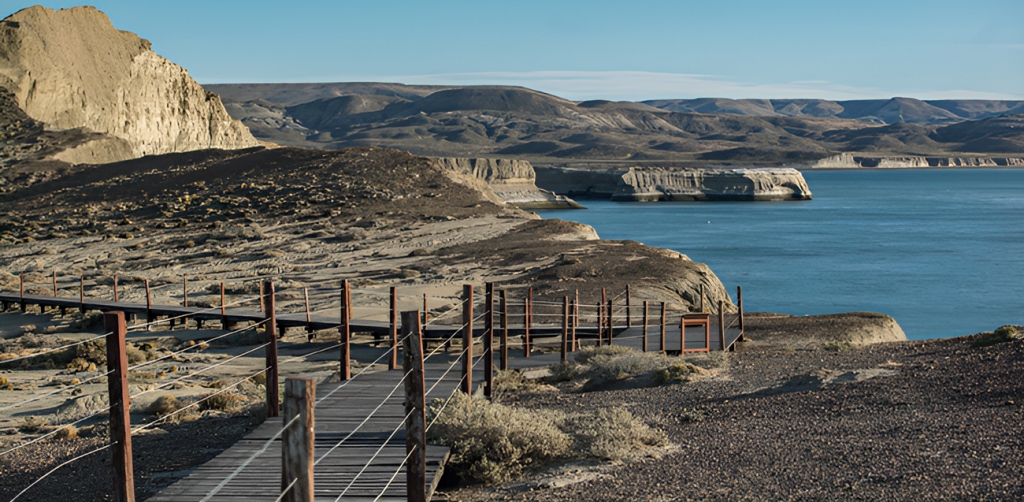 Monte León 4x4: Lobos y Pingüinos | Excursiones en El Calafate