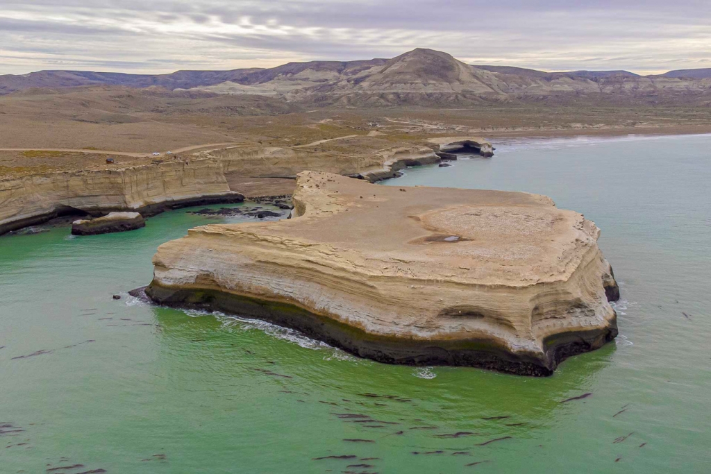 Monte León 4x4: Lobos y Pingüinos | Excursiones en El Calafate